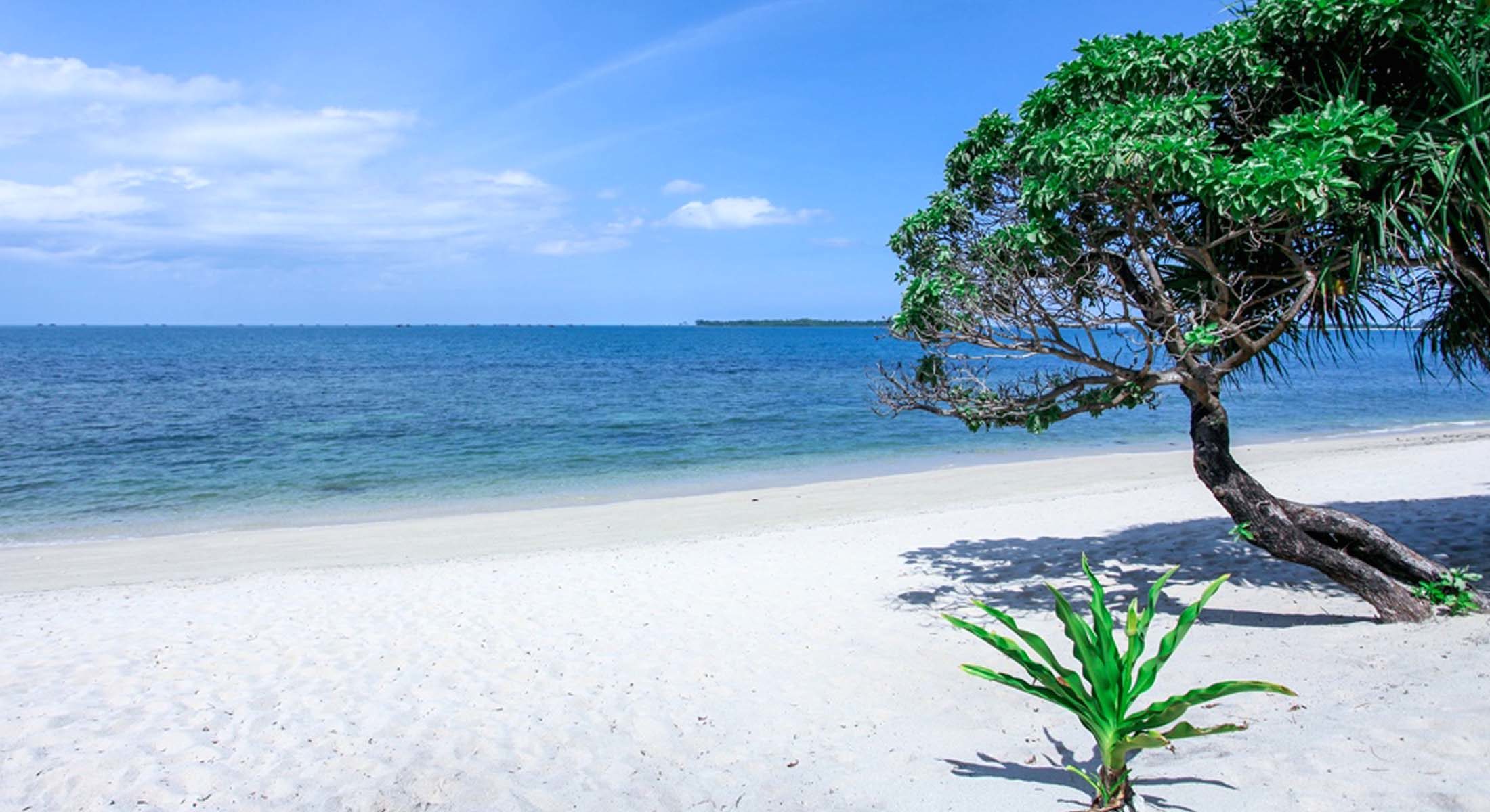 Trikora Beach Club and Resort